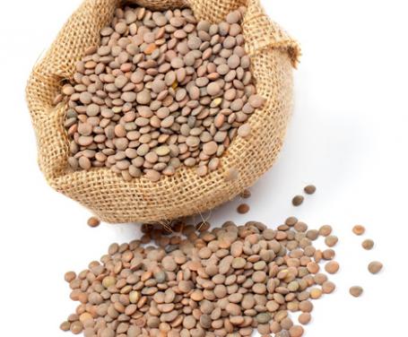 Agribosco Italian Lentils (Lenticchie) In Bulk | Salumeria Italiana